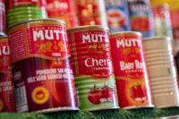 Tomaten Reife: Wann sind Tomaten reif? – Philognosie